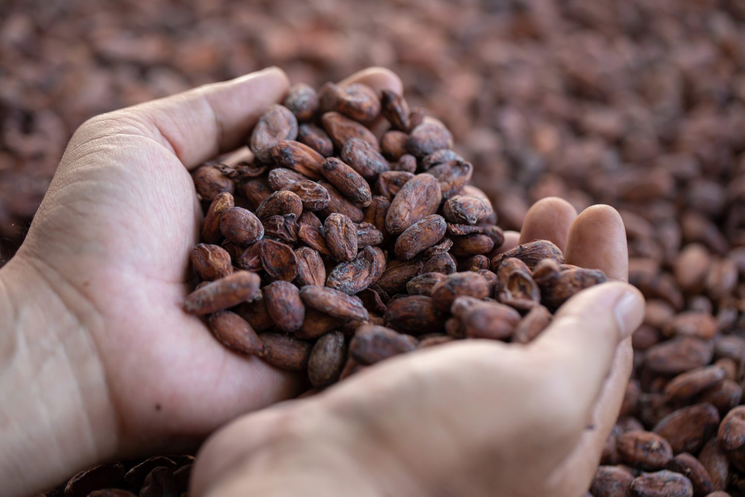 Home - Liberia Organic Cocoa & Agricultural Company